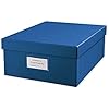 Amazon.com: Park Forms USA ABC Check Storage Box w/ 12 Dividers, 12" x ...
