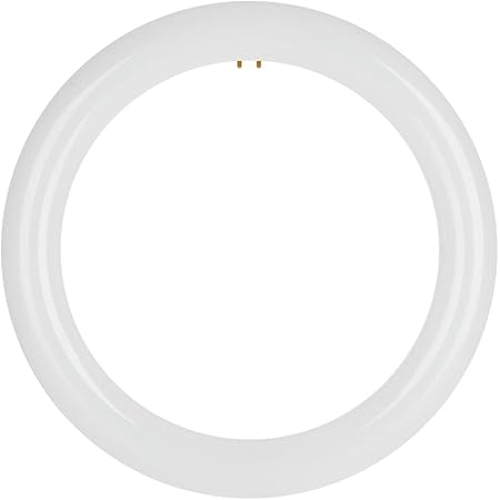T9 LED Circline Light Bulb, 8 Inch 1600LM LED Circular Light, 13W Clear ...
