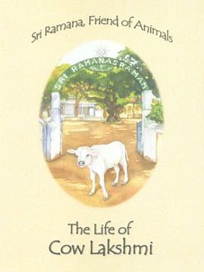 The Life of Lakshmi the Cow: Sri Ramanasraman: 9788182880184: Amazon ...
