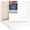 Amazon.com: U.S. Art Supply 20 x 20 inch Stretched Canvas 12-Ounce ...