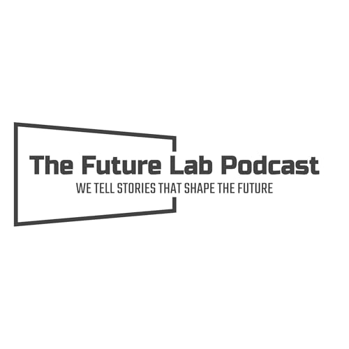 The Future Lab with Lee Schneider : Lee Schneider: Amazon.in: Audible Books & Originals
