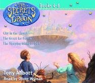 The Secrets of Droon: Volume 2: #4:City in the Clouds; #5:The Great Ice ...