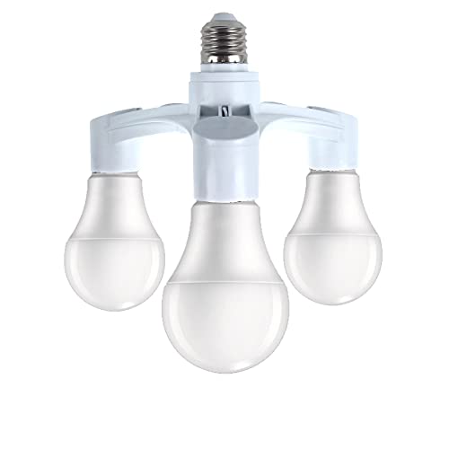 Mejores Productos De Lampara De Tres Focos