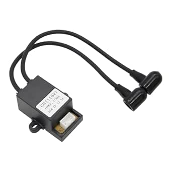 Amazon.com: Laofudech 30010455A for Navien Ignition Transformer ...