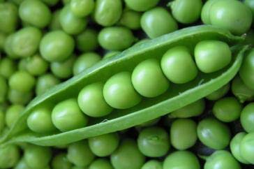 Creative Farmer Vegetable Seeds Bataneelu Seeds - Peas Seeds Home ...