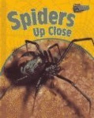 Spiders Up Close (Perspectives): Birch, Robin: 9781410911421: Amazon ...