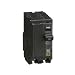 Square D by Schneider Electric QO260CP QO 60 Amp Two-Pole Circuit ...