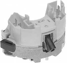 Amazon.com: Borg Warner DS130 Combination Switch : Automotive