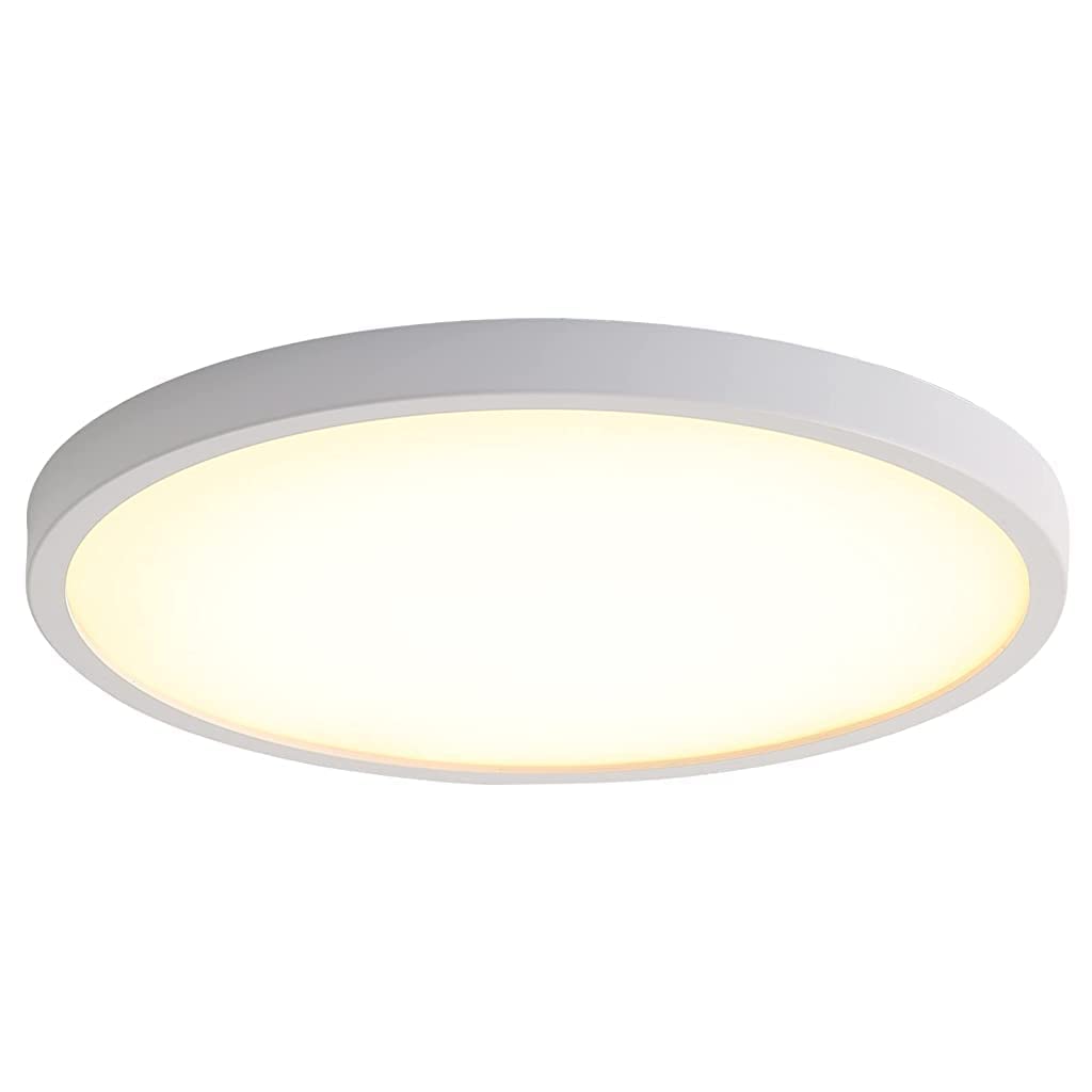 Buy ELEPHANTBOAT® 24W Ceiling Light, 9 inch Flush Mount LED Ceiling ...