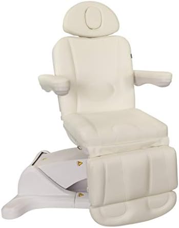 Amazon.com: Spa Source | LUKO Swivel Deluxe Electric 4 Motor Treatment ...