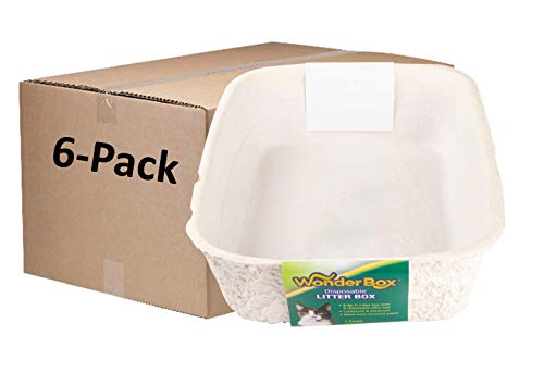 Traveling with Cats in a Car Long Distance (17 Essential Tips)