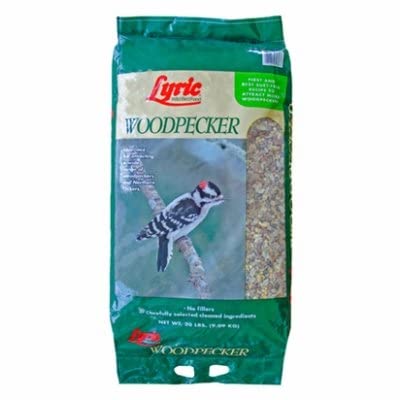 Top 10 Best Waste Free Bird Seed : Reviews & Buying Guide - Katynel