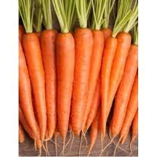 Arlo Long Orange Carrot Vegetable Seeds Finest( 200 Seeds) : Amazon.in ...