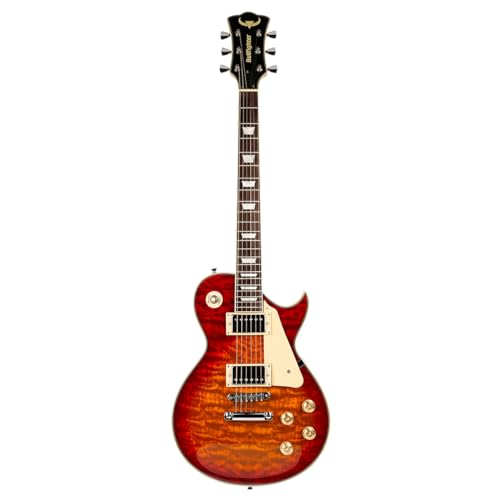Lp Guitar Kits – The 16 best products compared - www.djgblogger.com