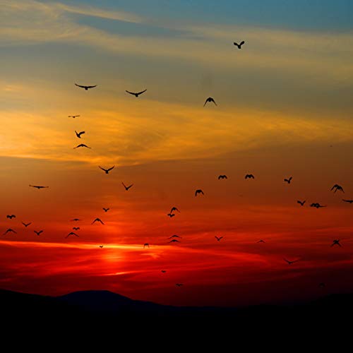 Play 50 Peaceful Ambient Melodies for a Relaxing Atmosphere by Zen ...