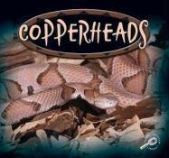 Copperheads (Amazing Snakes): O'Hare, Ted: 9781595151452: Amazon.com: Books