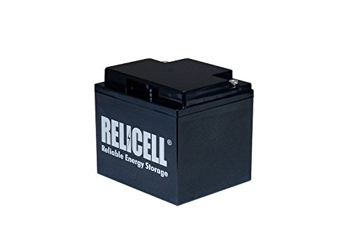 Relicell Maintenance Free UPS Battery 12V 45AH - 24 Months Warranty ...