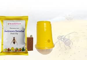 Bactocera Dorsalis Fruit Fly Pheromone Trap with Lure Useful in Mango ...