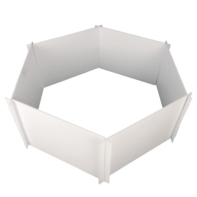 Best Chicken Starter Kit: All You Need to Raise Chicks