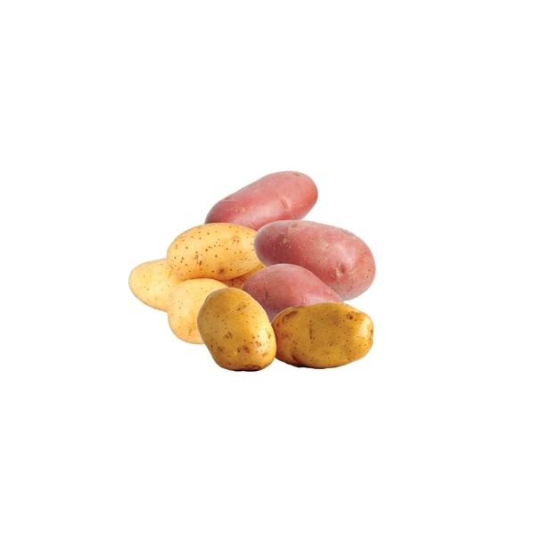 Amazon.com: The Save Mart Company, Potato Yukon Gold Bulk - 1 Each ...