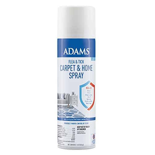 Top 10 Best Spray To Kill Spiders : Reviews & Buying Guide - Katynel