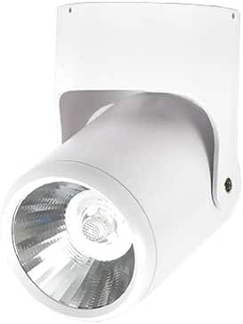 BRILLRAYDO 7W LED Ceiling Directional Spotlight Surfaced Mount Light ...