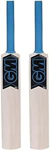 GM Neon Cricket Mini Bat 17-Inch: Buy Online at Best Price in UAE ...