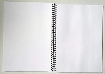 plain spiral notebook 400 page (pack of 1) : Amazon.in: Office Products