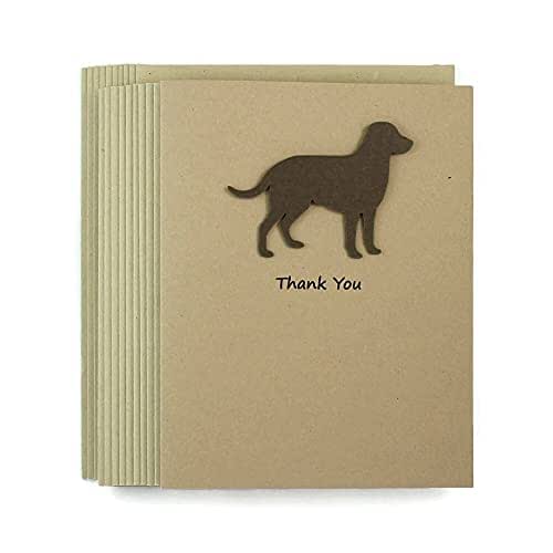 Amazon.com: Chocolate Brown Labrador Retriever Thank You Cards Pack of ...