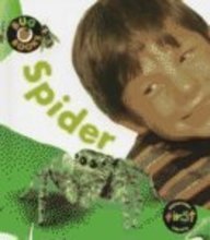 Spider (Bug Books): Hartley, Karen, MacRo, Chris, Taylor, Philip ...
