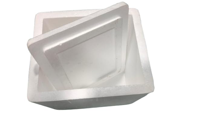 Insulated Styrofoam Ice Box with Lid, 5 Litre Capacity, White ...