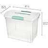 Amazon.com: Sterilite Large Nesting ShowOffs, Stackable Small Storage ...