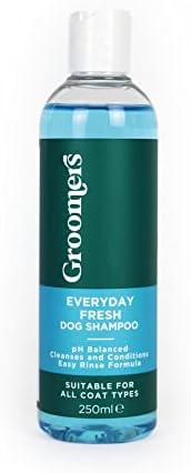 Groomers Everyday Fresh Dog Shampoo for grooming | Long lasting ...