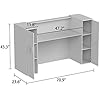 Amazon.com: Homsee Modern Reception Desk Counter with 2 Lockable Doors ...