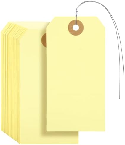 Amazon.com : Amram Wired Shipping Tags and Hang Tags, 4 3/4-in x 2 3/8 ...