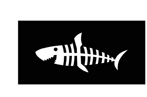 Great White Shark Skeleton