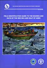 Field Identification Guide To The Sharks And Rays Of The Red Sea And ...