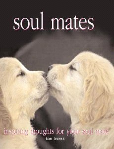 Soul Mates: love's magic moments: Burns, Tom: 9780764159879: Amazon.com ...