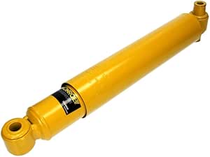 Amazon.com: Monroe T5362 T5362 Shock Absorber : Automotive