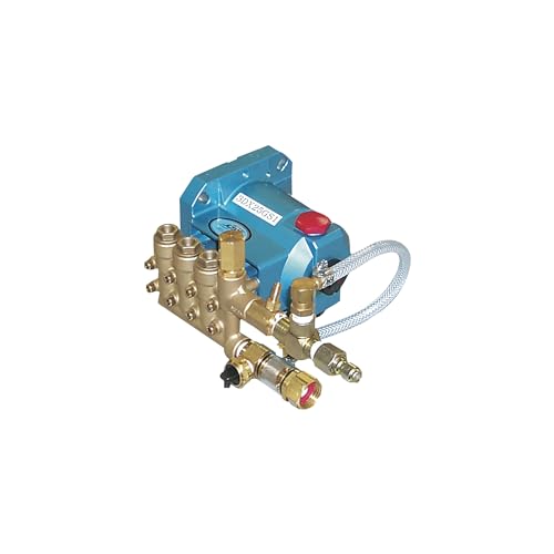 Cat Pumps – The 15 best products compared - Wild Explained