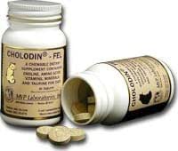 Amazon.com : Cholodin-FEL For Cats, 50 Chewable Tablets : Pet ...