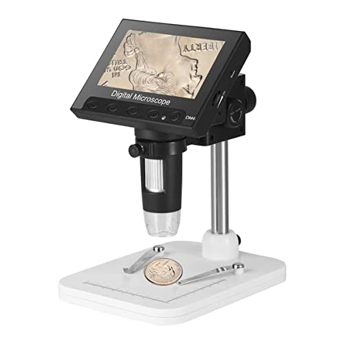 Top 10 Best Digital Microscope With Screen : Reviews & Buying Guide ...