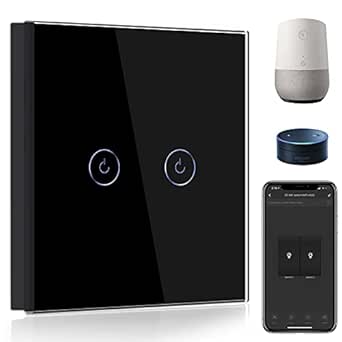 BSEED Smart Alexa Light Switch Double 1-Way Wifi Smart Light Switch ...