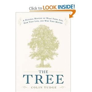 The Tree byTudge: Tudge: Amazon.com: Books