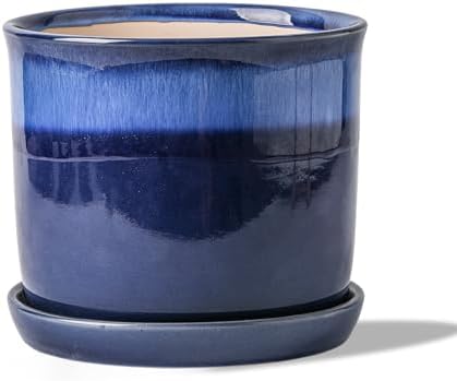Amazon.com : SQOWL Ceramic Planter 8 Inch - Pot for Indoor Outdoor ...