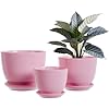 Amazon.com: Pink Ceramic Flower Pots,Indoor Decorative Plant Pots Set ...