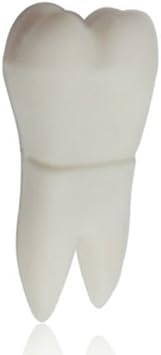 Amazon.com: USB Flash drive Tooth 8GB 2.0 : Electronics