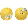 Amazon.com - Creative Co-Op Yellow Stoneware Lemon Shaped Salt & Pepper ...