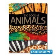 Big Book of Animals: Igloo: 9781848173187: Amazon.com: Books