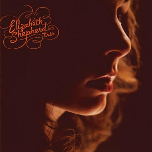 Amazon.com: Start To Move : Elizabeth Shepherd Trio: Digital Music